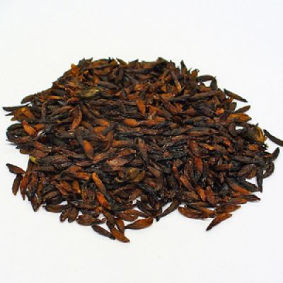 Helios Homeopathy - Sabadilla